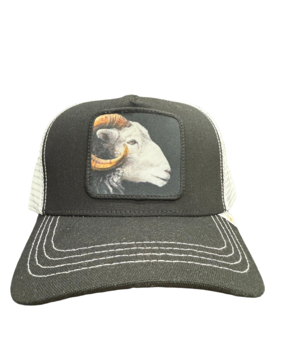 Gold Star GOAT black/white